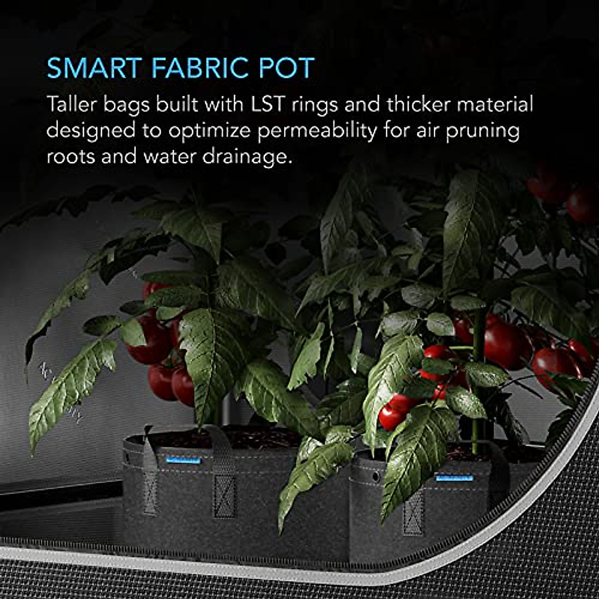 AC Infinity Heavy Duty Fabric Pots, 3 Gallon Aeration Grow Bags 5-Pack with 500G Thick Nonwoven Fabric and Multi-Purpose Rings, for Low Stress Plant Training Fruits, Vegetables, and Flowers