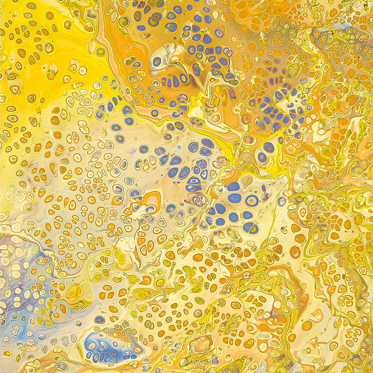 6 Ounces 100% Pure Silicone oil for Acrylic Pouring, Excellent Liquid Silicone for Acrylic Paint Pouring, Ideal Silicone Oil for Dramatic Cell Creation, Professional Silicon Oil Supplies, Non-Toxic & Odorless