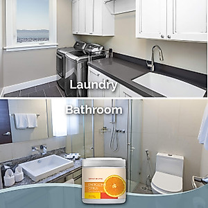 SMELLS BEGONE Air Freshener Odor Absorber Gel - Absorbs Odor from Bathrooms, Cars, Pet Areas, Boats & RVs - Made with Essential Oils - Energizing Citrus Scent - 15 Ounce