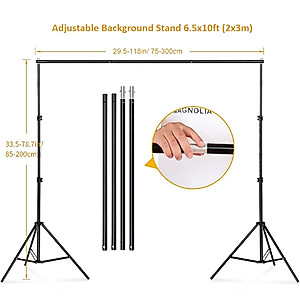 LOMTAP Background Stand Heavy Duty 6.5x10ft/ 2x3m Backdrop Support System Photography Photo Video Studio Kit with Carrying Bag for Adjustable Height and Width Shooting Photo Studio