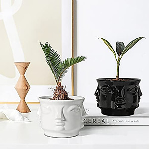 T4U Face Succulent Pots with Drainage 2-Pack - Small Ceramic Head Succulent Planter for Tiny Cactus, Herb, Bonsai Plant, Mini Flower Pot for Indoor Home Office Living Room Decor (No Plants)