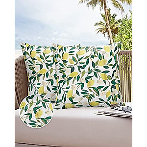 Waterproof Outdoor Throw Pillow Cover Yellow Lemon Fruits Lumbar Pillowcases Set of 2 Green Leaves Plant Decorative Patio Furniture Pillows for Couch Garden 18x18 inch
