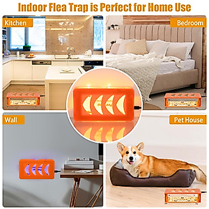 Flea Traps for Inside Your Home, 2 Pack Flea Trap with Adjustable Light Modes & 4 Flying Insect Trap Sticky Refill Pads, Harmless & Friendly to Pets & Kids Pest Trapper for Fleas, Flies