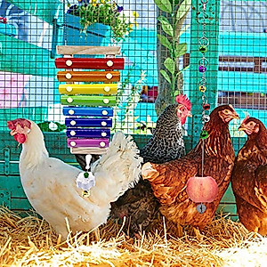 EBaokuup 3PCS Chicken Toys for Coop Accessories, Chicken Xylophone Toy, Suspensible Wooden Chicken Toys for Hens Chicken Stand Toy, Chicken Vegetable Hanging Feeder Chicken Veggies Skewer Fruit Holder