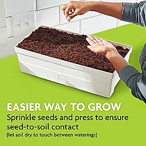 Miracle-Gro Garden to Go Mesclun Greens Mix - All-in-One Garden Kit