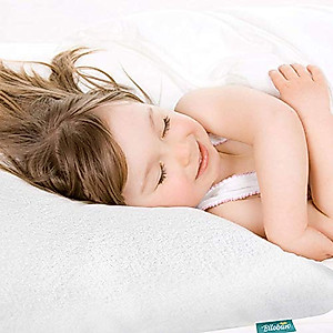 Zippered Toddler Pillocase and Crib Mattress Pad Cover