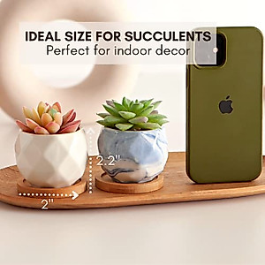 ilohaus Succulent Pots Set of 6, Plant Pots Indoor, Succulent Planters, Small Plant Pots, Cactus Pot, Cute Plant Pots, Small Flower Pots, Small Succulent Pot, Small Planter Set