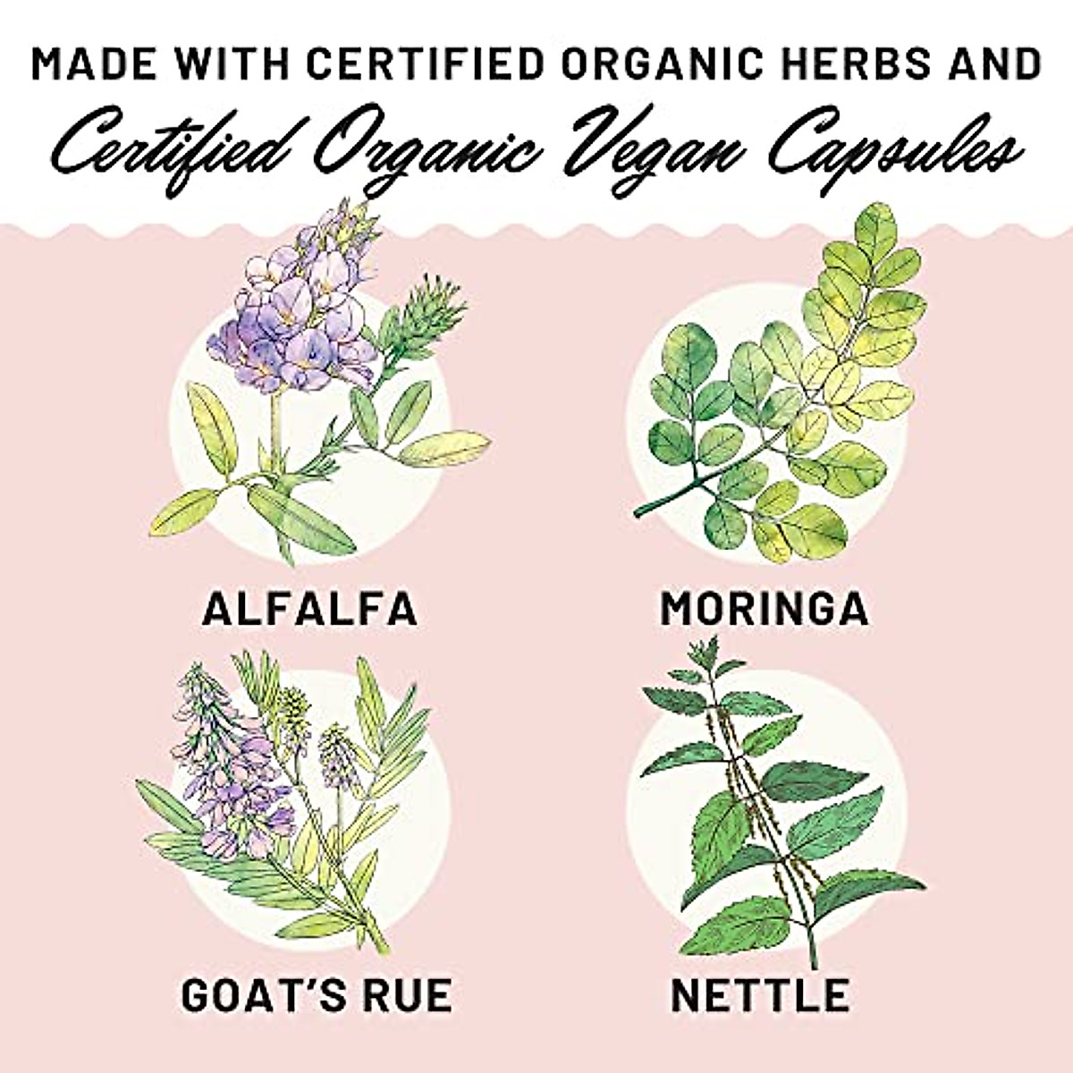 Legendairy Milk Cash Cow Lactation Supplement, Moringa, Alfalfa, and Goat's Rue Breastfeeding Supplement for Milk Supply Increase, Fenugreek-Free, Certified Organic, Vegan, Non-GMO, 60 Capsules