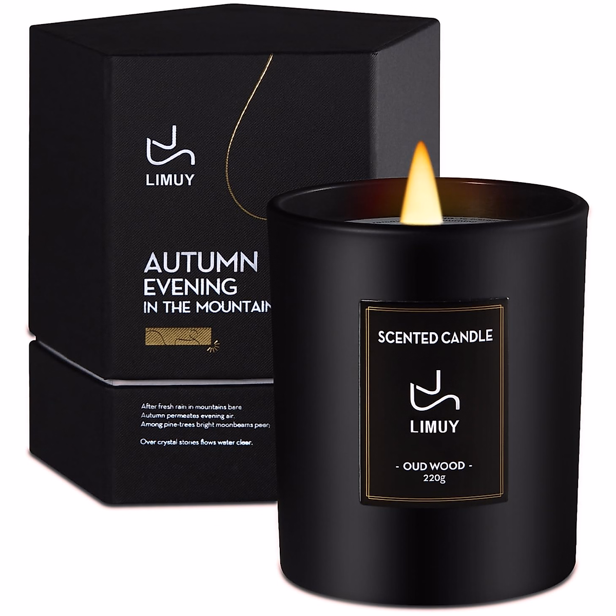 Scented Candles for Men,Sandalwood & Rose Candle, Valentine Candles,8 Oz Soy Candles for Home Scented, Masculine Candle,Wood Wicked Candles for Valentine’s Day Gifts,Vanilla Candle in Black Jar