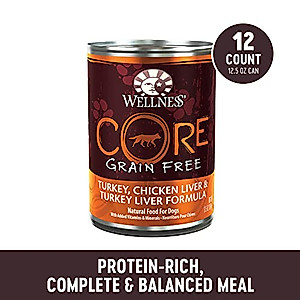 Wellness CORE Natural Wet Grain Free Canned Dog Food, Turkey & Chicken, 12.5-Ounce Can (Pack of 12)