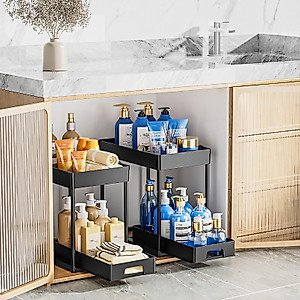 Delamu 2 Pack Under Sink Organizers and Storage, 2 Tier Pull Out Under Cabinet Organizer, Black Under Sink Storage for Bathroom Kitchen, Under Counter Storage organizer with 8 Hooks