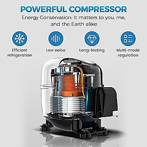 HIPOPLLER Commercial Glass 2 Door Display Refrigerator Merchandiser - Upright Beverage Cooler with LED Lighting - 38.5 Cu. Ft., Silver