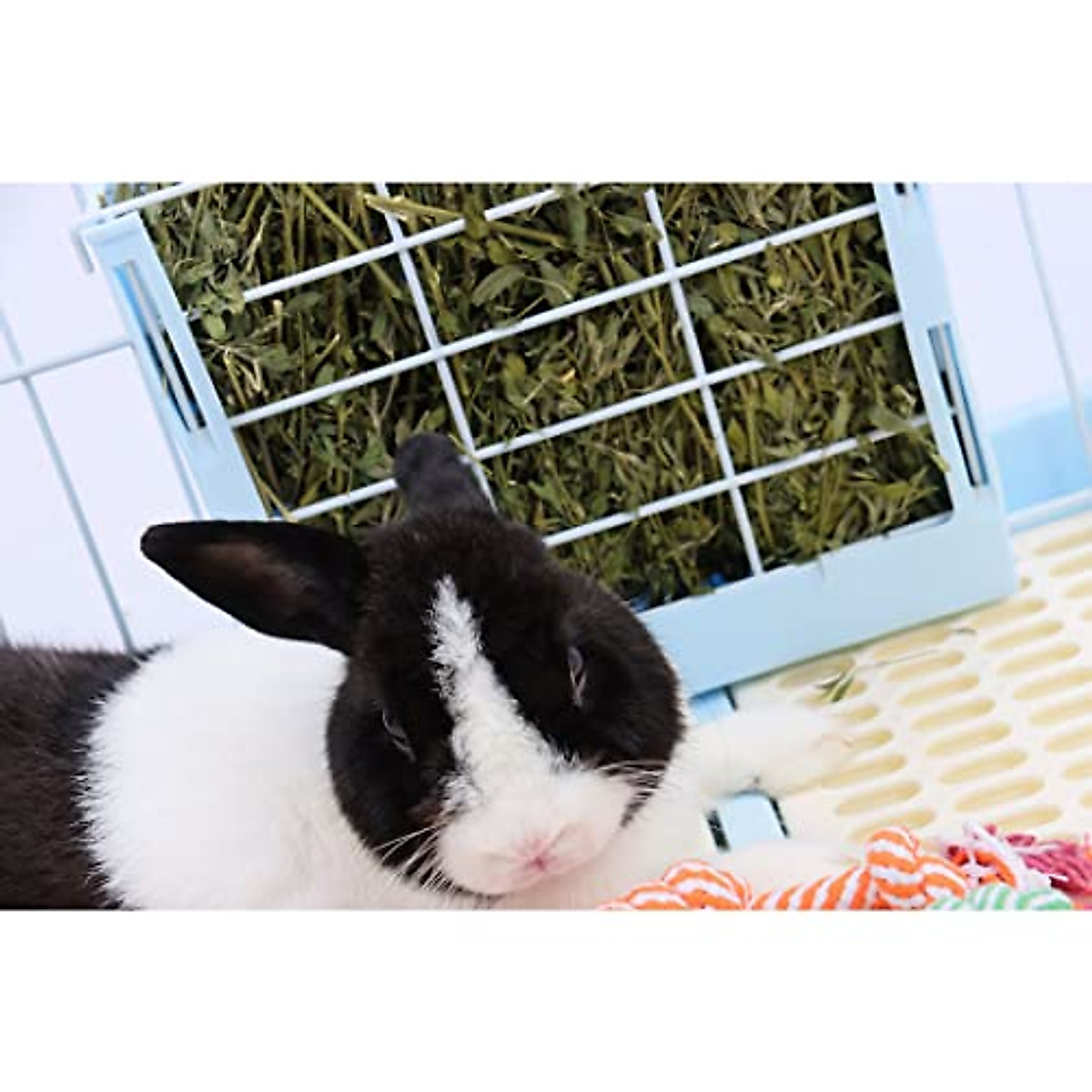 RUBYHOME Hay Feeder for Rabbits, Guinea Pigs, and Chinchillas - Minimize Waste and Mess with 9 1/4" x 3 3/4" x 8" Hanging Alfalfa and Timothy Hay Dispenser (Blue)