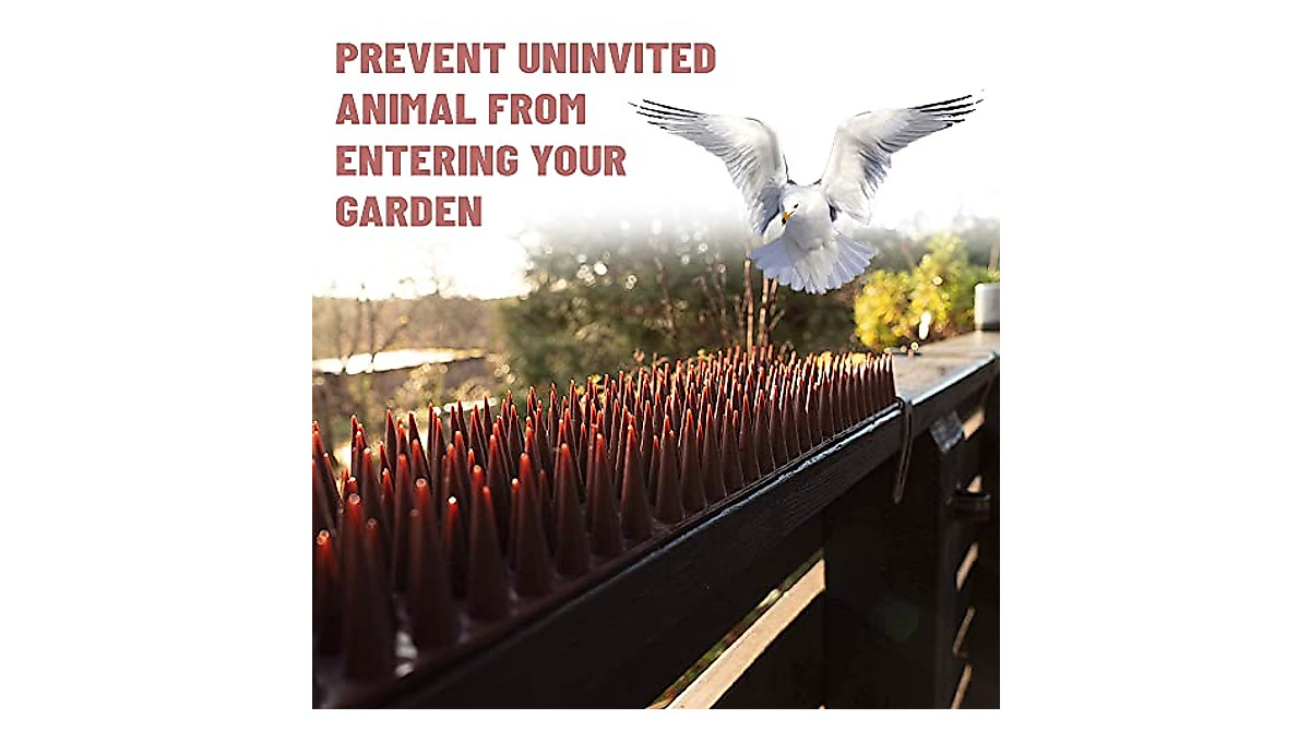 Buy Anti Bird Spike Strips Pack - 17 Feet Fence & Roof Deterrent