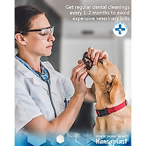 Hansaplast Plaque Remover for Teeth, Pet Teeth Cleaning Tools, Dental Tools to Remove Plaque and Tartar, Safe for Dog & Cat, with Led Light & 5 Adjustable Modes (White)