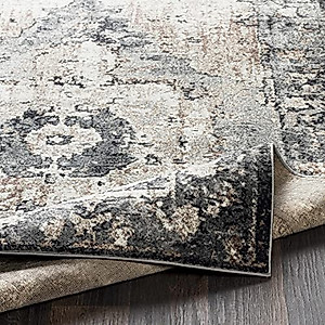 Hartshone Bohemian Farmhouse Living Room Bedroom Dining Room Area Rug - Boho Vintage Distressed - Persian Tribal Style Carpet - Dark Brown, Grey, Tan, Beige, Khaki, Charcoal, Light Black - 6'7" x 9'