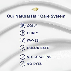 Dove Amplified Textures Shampoo, Conditioner, Leave-In Conditioner with Coconut Milk, Aloe, and Jojoba 3 Count for Coils, Curls and Waves and Moisture Amplifying Hair Care Blend 11.5 oz