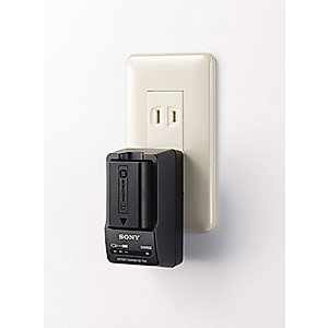 Sony BC-TRW W Series Battery Charger