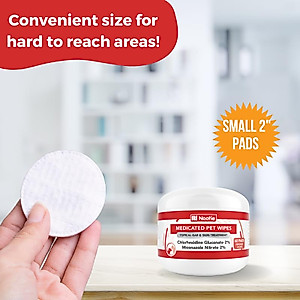 Nootie Medicated Dog Wipes, Chlorhexidine & Miconazole Pet Wipes for Dogs & Cats - 2” Small Wipes, 60 Count - Sold in Over 10,000 Vets & Pet Stores