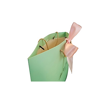 AKA Sorority Paraphernalia Large Gift Bags with Handles- 14x11x4 inch Kraft Paper with Bow Ribbon (2-Pack)
