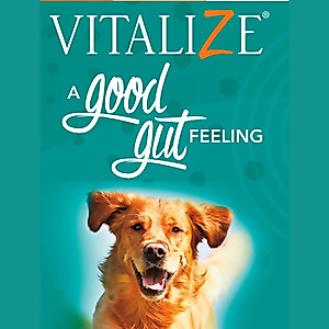 Vitalize Dog Gel - After Surgery Recovery & Probiotics Alternative Immune Support Booster Supplement for Dogs Digestive & Gut Health - Liquid Gel Paste (15 ml)