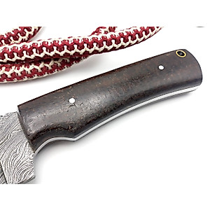 Nooraki SK-65 Handmade Damascus Hunting Knife 8.5 inches Full Tang Blade with Leather Sheath Skinner Knife, Exotic Walnut Wood Handle