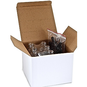 Vivaplex, 6, Clear, 4 oz Glass Bottles, with Glass Eye Droppers