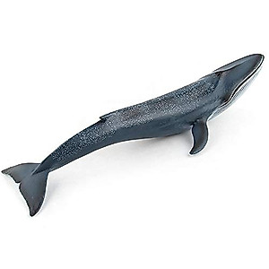 EOIVSH Sea Animal Figure Blue Whale Toy, Plastic Large Ocean Animal Figurine Realistic Educational Marine Model Figurine for Birthday Gifts, Party Favors, Kids Toys