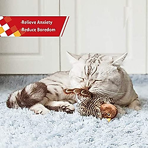 Gigwi Interactive Electronic Cat Toy, Automatic Chirping Bird Cat Toy Squeaky with Feather Tail, Melody Chaser Toy Bird for Cats to Play Alone, Play and Squeak Kitten Toy for Boredom