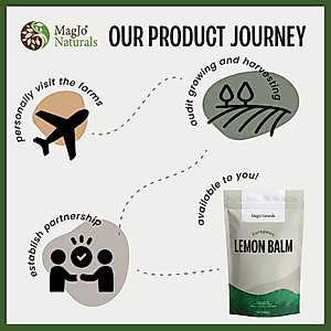 MagJo Naturals Lemon Balm Tea, Bulk Herbal Tea, Loose Leaf Melissa Officinalis, Caffeine Free, Cut and Sifted, 1 pound (16 ounces) (1 pack)