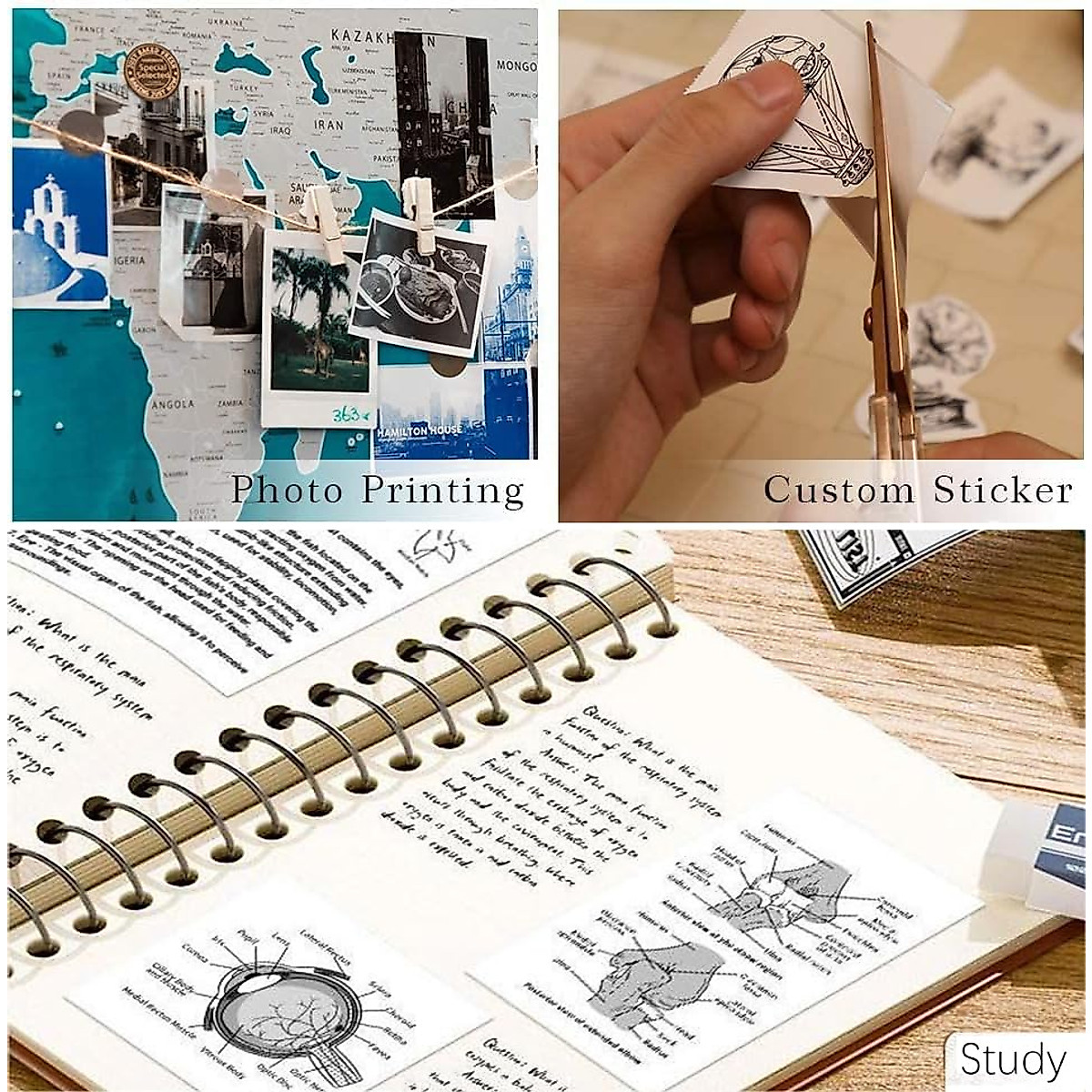 Phomemo Mini Printer, Print Pod Sticker Maker M02, Thermal Mini Sticker Printer with Bluetooth, Sticky Note Printer for Notes, Gifts, Journals, Planners, Scrapbooking, Gifts