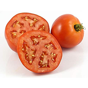 Homestead Heirloom Tomato Seeds, 250+ Seeds Per Packet, (Isla's Garden Seeds), Non GMO Seeds, Botanical Name: Solanum lycopersicum