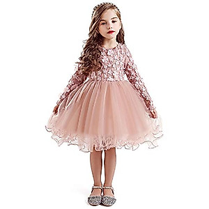 TTYAOVO Girls Long Sleeve Lace 3D Flowers Tulle Layered Princess Party Dresses Size(120) 3-4 Years Pink