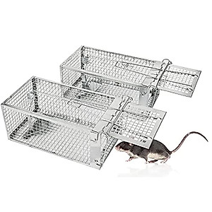 2 Pack Humane Rat Traps, Live Small Mouse Traps Catch and Release for Indoor Outdoor, Small Animals Traps, Easy to use, Pet Safe Medium Size ( 10.6"x 5.5"x 4.5" )