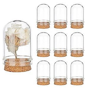 PH PandaHall 10pcs Cloche Bell Jar, Glass Display Dome with Cork Base 8ml Mini Glass Bottles Dome Decorative Jars Display Case for Flower Storage Home Christmas Party Favor Decoration, 0.86x1.4inch