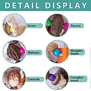 Deloky Large Parrot Bird Chewing Toys-Natural Nuts Corn Parrot Tearing Toy-Wooden Bird Cage Toy for African Grey,Macaws Cokatoos,Amazon Parrots and Other Large Birds
