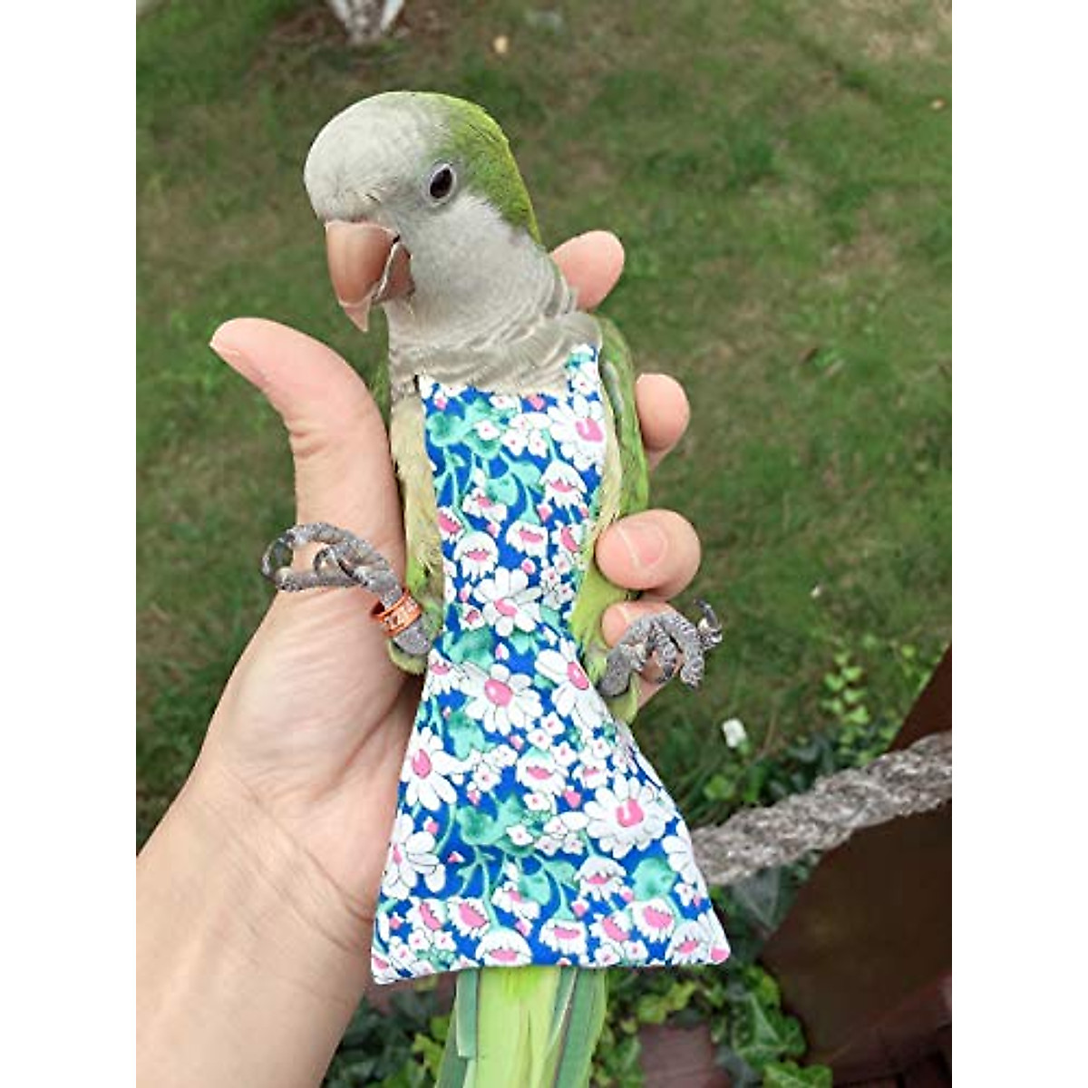 HEZHUO Parrot Diapers, Bird Flight Suits, Bird Suits, Reusable Waterproof Diapers, pet Bird Supplies (M, Pink)