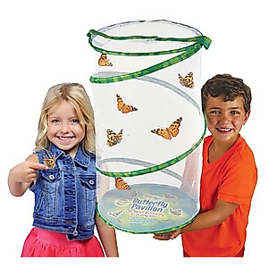 Insect Lore Giant Butterfly Garden with Voucher | 18 Inch Habitat | Life Cycle Figurines Included | Voucher to Redeem 5 Baby Caterpillars Later | Raise Painted Lady Butterflies