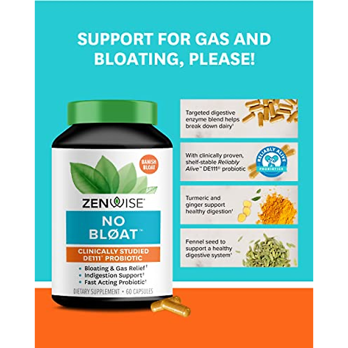 Zenwise No Bloat - Probiotics, Digestive Enzymes for Bloating and Gas Relief | Ginger, Dandelion, and Cinnamon to Improve Digestion - 60 Count