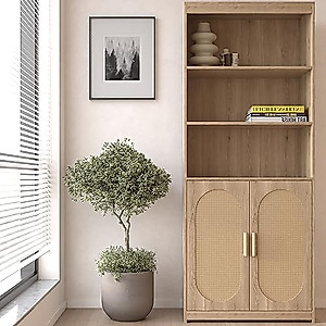 TROONZ Natural Wood Bookshelf with Open Shelves - Tall Bookcase for Bedroom, Living Room