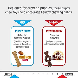 Nylabone Puppy Chew Toy Twin Pack - Puppy Chew Toys for Teething - Puppy Supplies - Medley & Chicken Flavor, X-Small/Petite (2 Count)