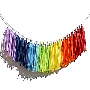 Binpeng 14in 21pcs Rainbow Paper Tassel DIY Hanging paper decorations Party Garland Decor for Party Decorations Wedding,Festival,Baby Shower Decoration 21PCS (Rainbow Tassels 7 Colors 21 PCS)
