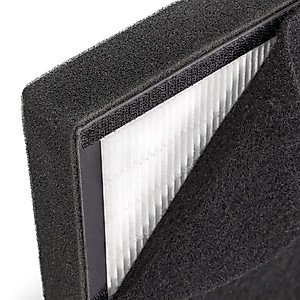 Alen BF25A, 1 Count (Pack of 1), Fresh