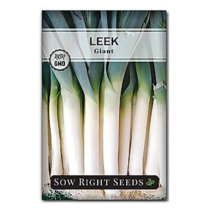Sow Right Seeds - Giant Leek Seed for Planting - Non-GMO Heirloom Packet with Instructions to Plant and Grow an Outdoor Home Vegetable Garden - Large Green Chive Onion - Wonderful Gardening Gift