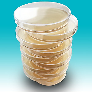 Tryptic Soy Agar (TSA) Plates by Evviva Sciences - Prepoured TSA Petri Dishes - Excellent Product and Performance - Top Science Kit for Science Fair Projects- Intended for Ages 15 & Older
