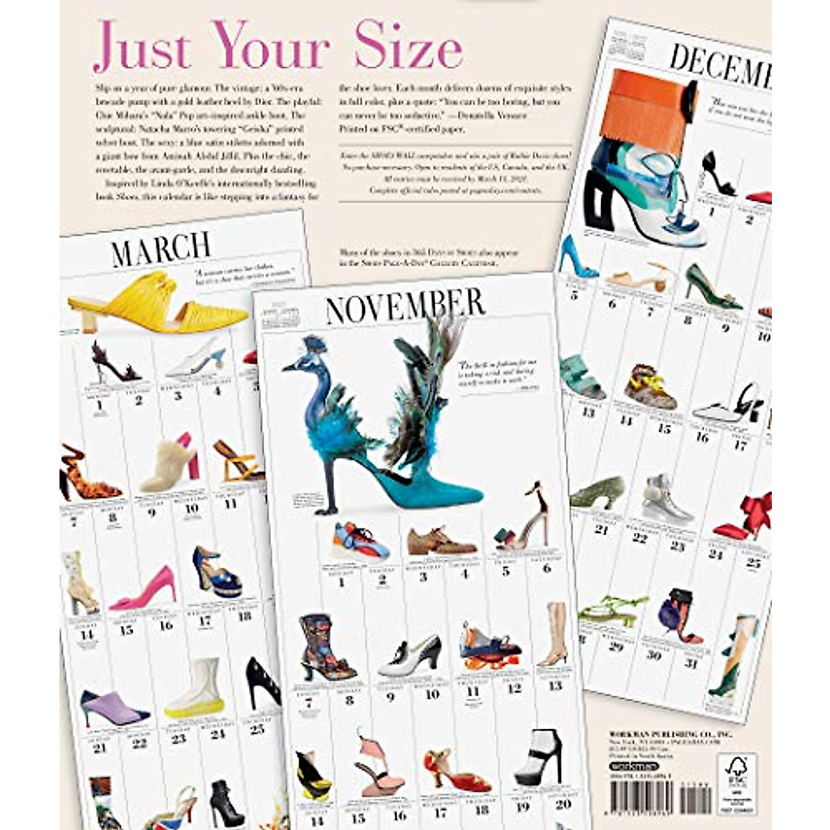 365 Days of Shoes Picture-A-Day Wall Calendar 2021