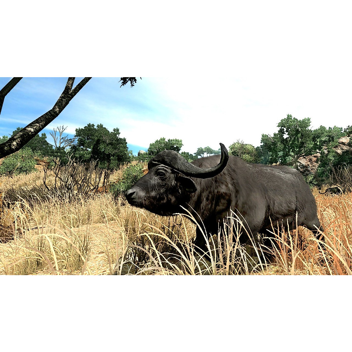 Cabela's Big Game Hunter - Xbox 360 (Game Only)