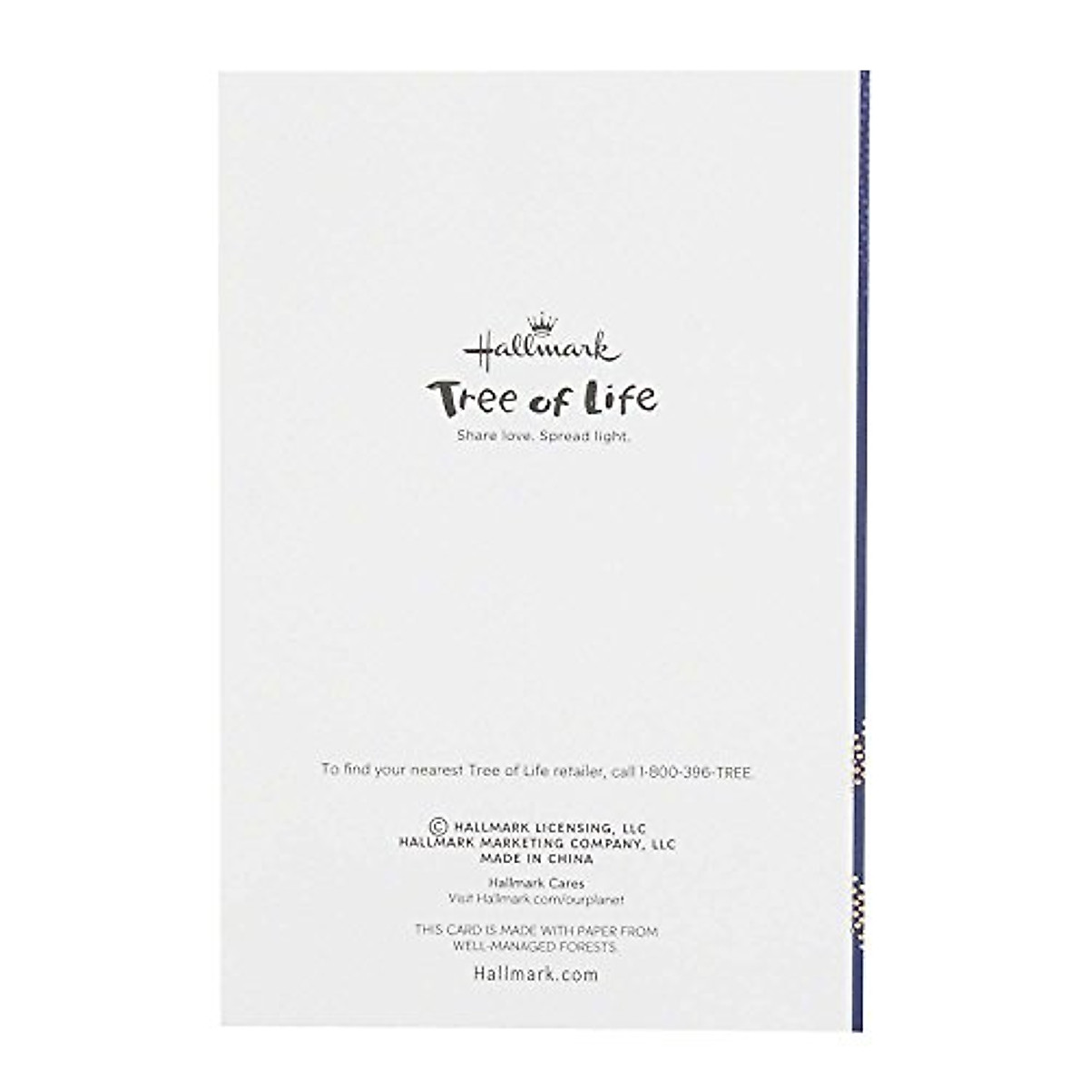 Hallmark Tree of Life Rosh Hashanah Card Assortment, L'Shanah Tovah and L'Chaim (6 cards with Envelopes)