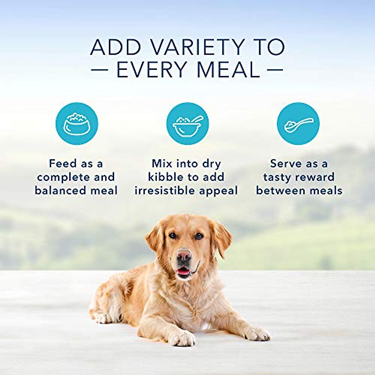 Blue Buffalo Homestyle Recipe Natural Adult Wet Dog Food Variety Pack, Chicken & Beef 12.5-Oz Can (8 Count- 4 Of Each Flavor)