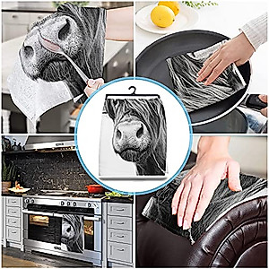 Segard Kitchen Towels Dish Towel Set of 2,Highland Cow Grey Animal Art Absorbent Hand Towels Cleaning Dishcloth Tea Towels,Longhorn Cattle Portrait Art Reusable Drying Dish Cloths